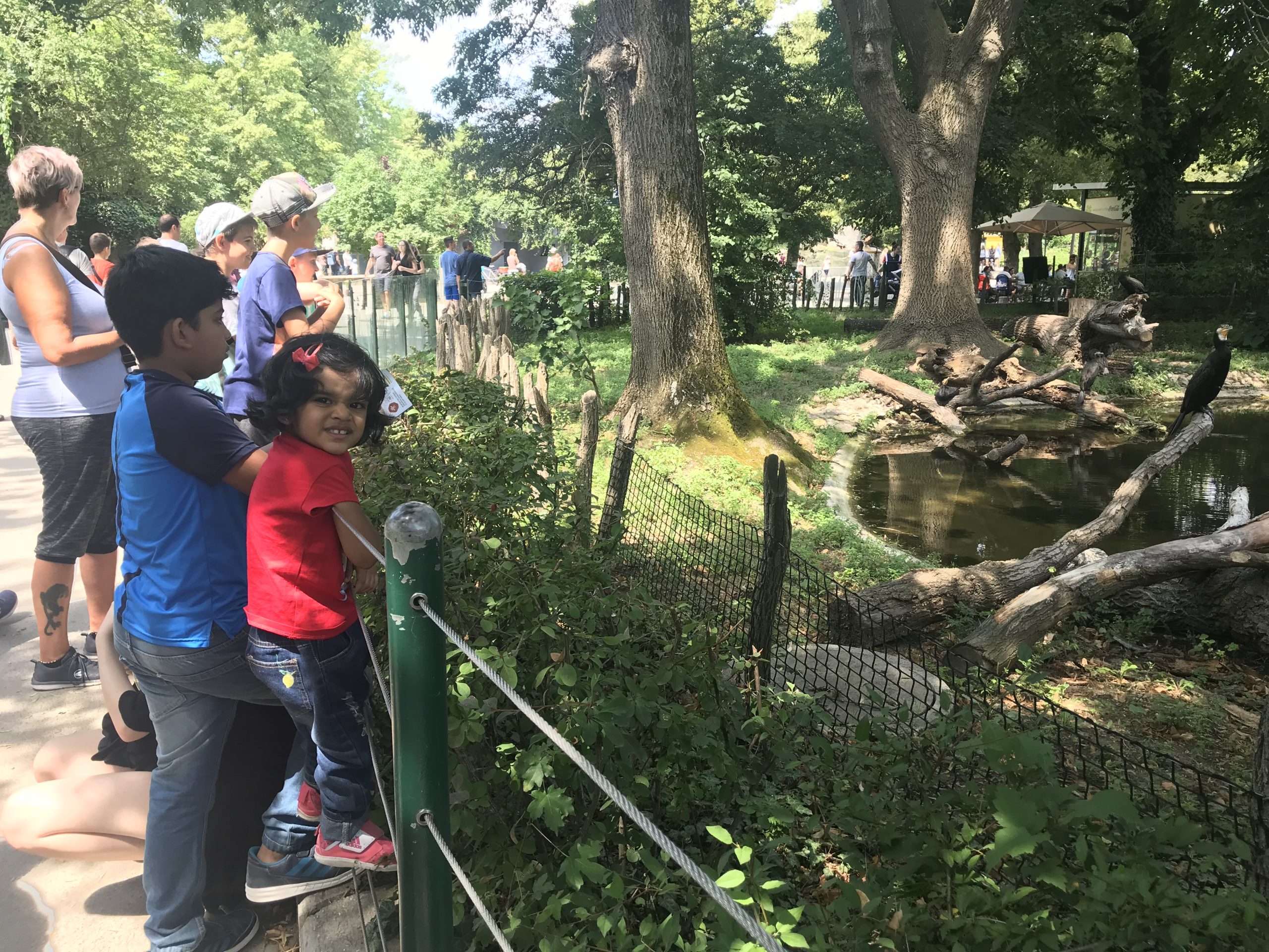 3 days in vienna -the ultimate first timer's guide - My travel boots